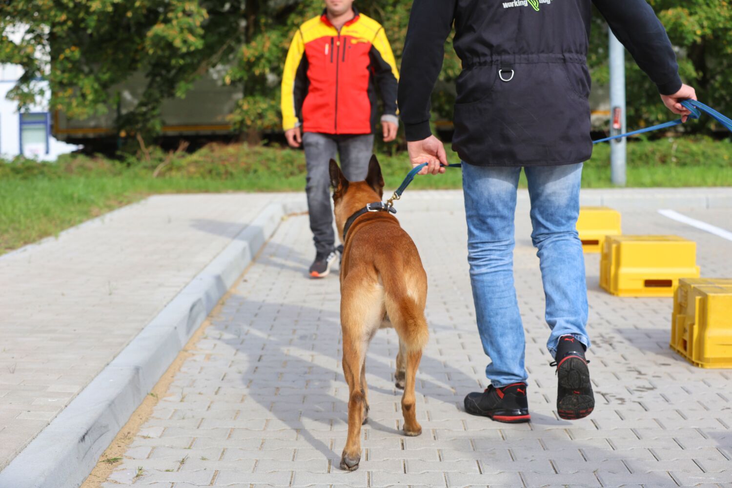 Wenn der Postmann nicht mehr klingelt –Brief- und Paketboten lernen den ...