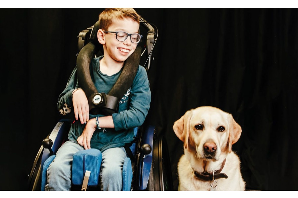 Düsseldorf: Ein Assistenzhund für Noam – wer kann bei diesem ...