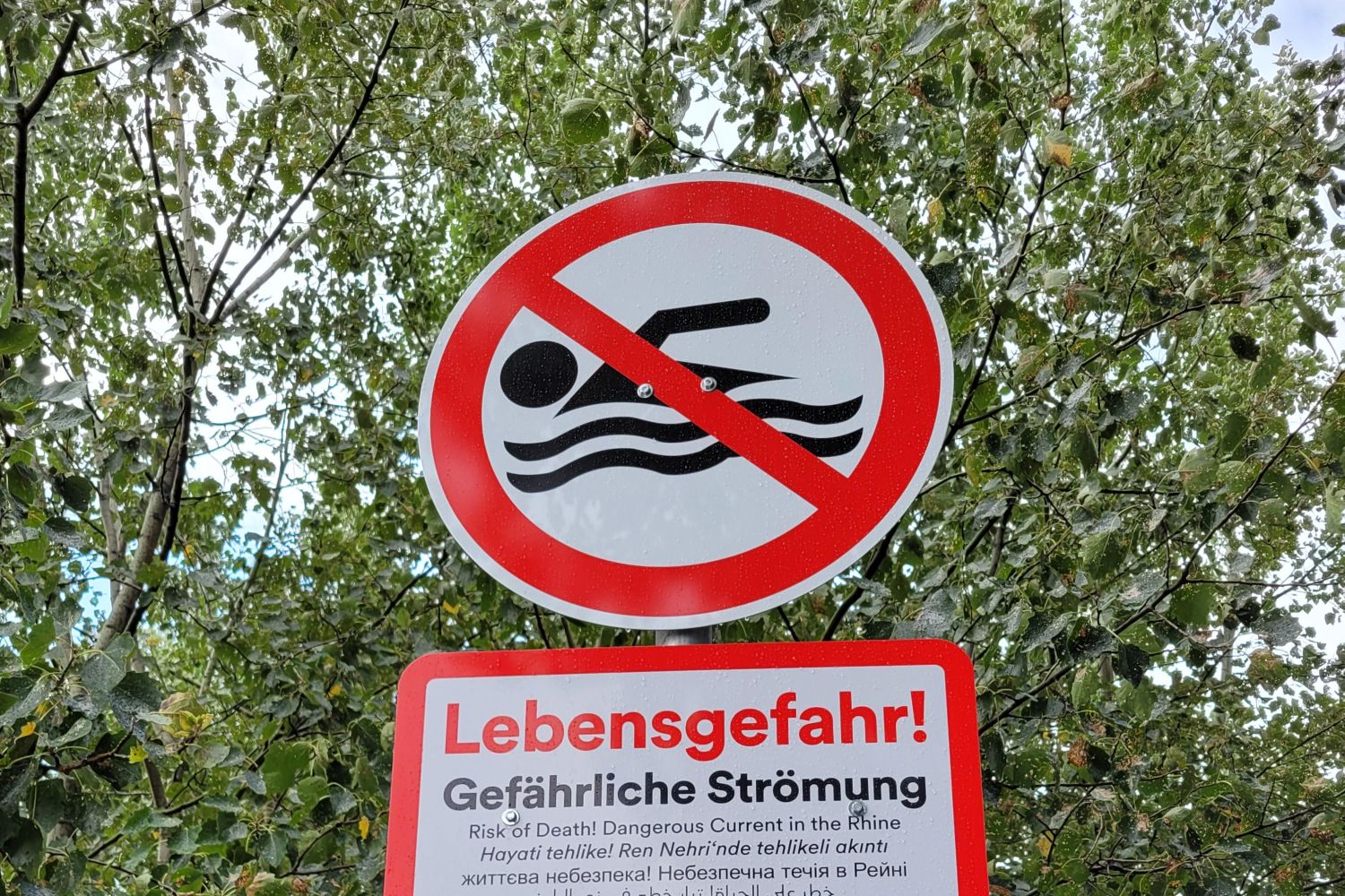 Düsseldorf: Ab 14. August 2025 ist das Baden im Rhein verboten - Ddorf ...